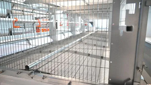 Layer Breeder Cage | High Fertilization Rate & Automated Egg Collection